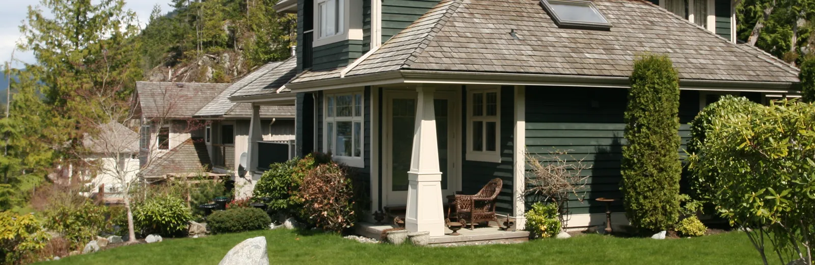 Dealing with a Cockroach Infestation: Clean Up like This! — Whitmore ...