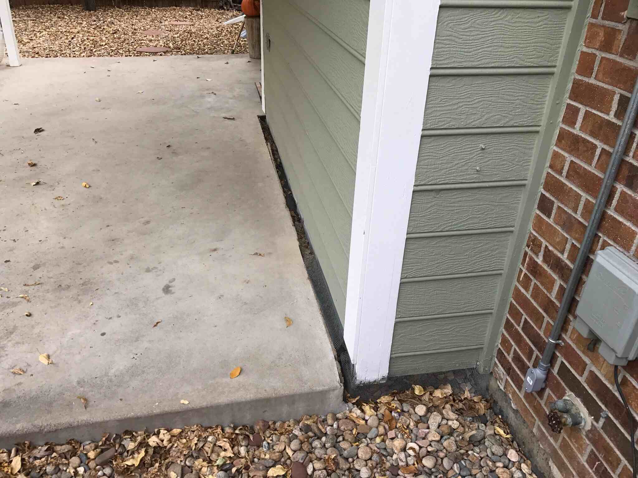 Rabbit Control in Denver | Whitmore Pest Control